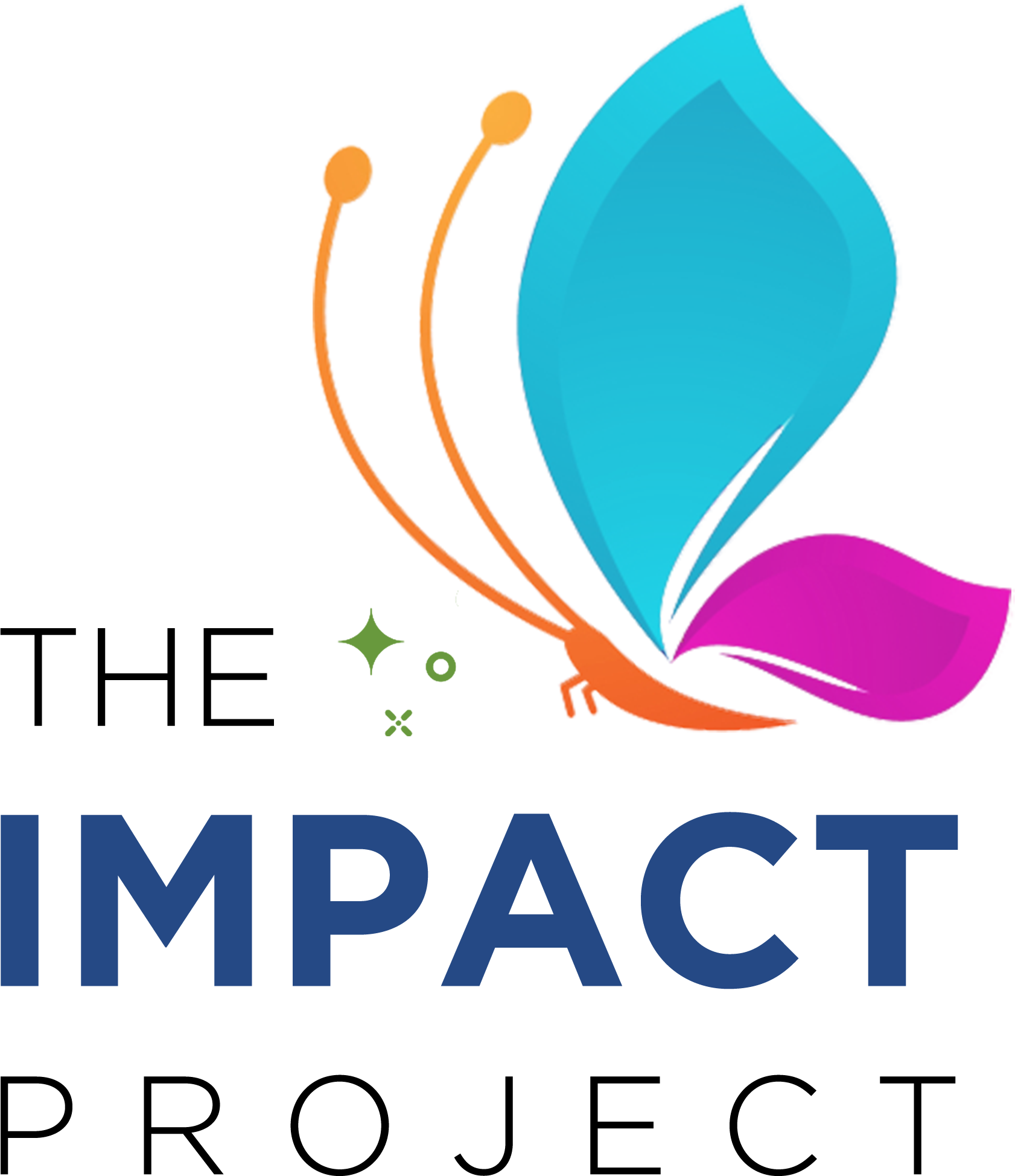 The Impact Project LLC